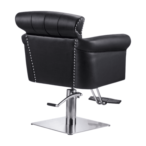 Eye Design Professional | Jupiter Salon Styling Chair – EYE DESIGN ...
